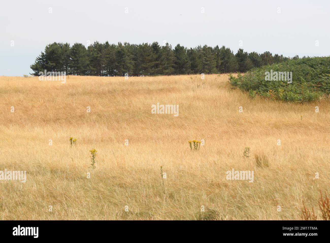 Foljambe estates hi-res stock photography and images - Alamy