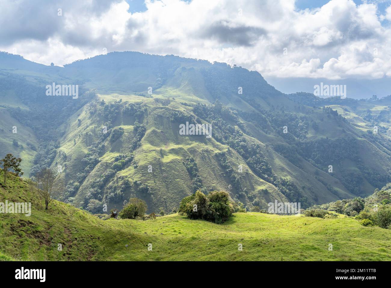 South America, Colombia, Departamento de Antioquia, Colombian Andes ...