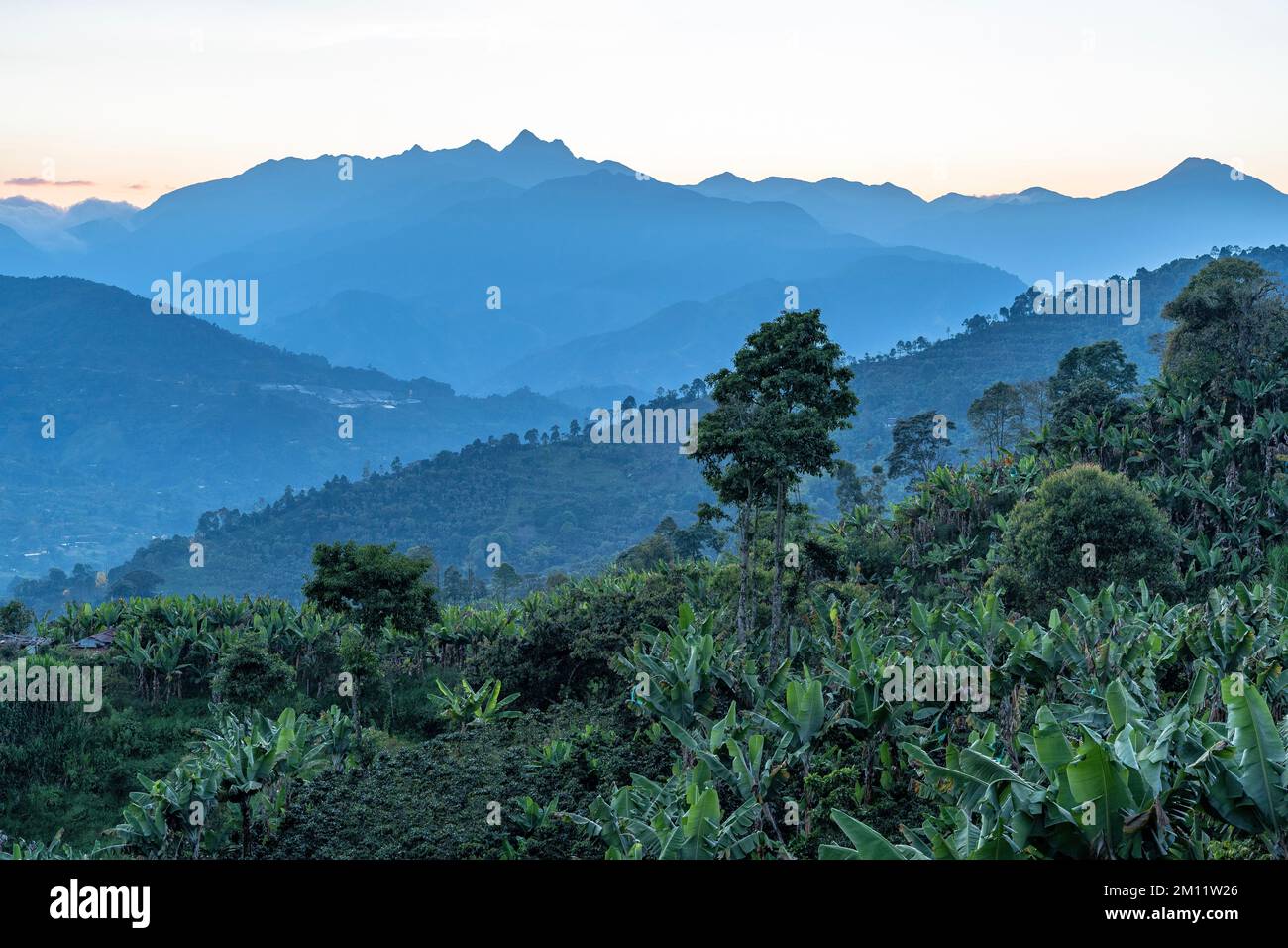 South America, Colombia, Departamento de Antioquia, Colombian Andes ...