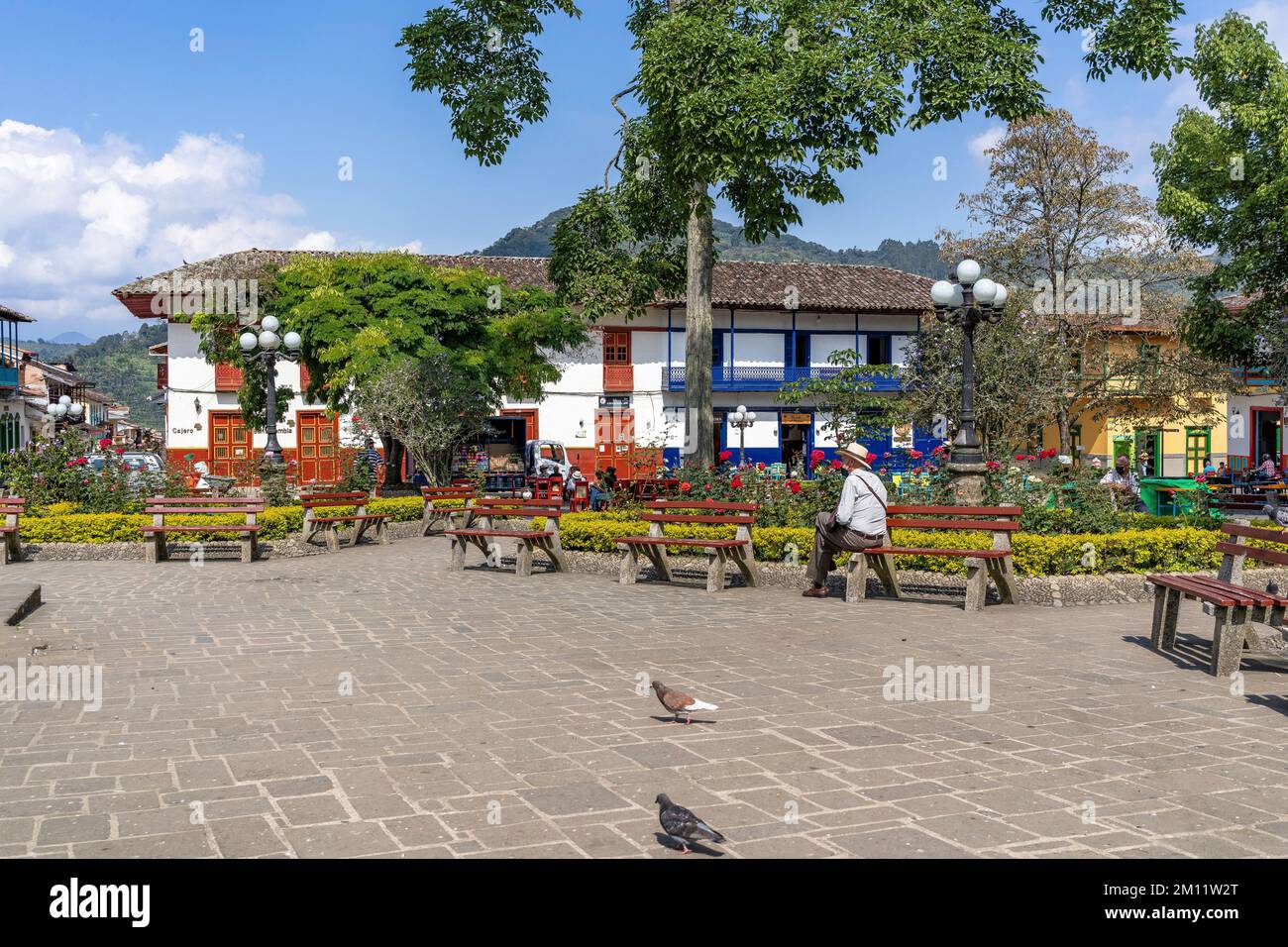 South America, Colombia, Departamento de Antioquia, Colombian Andes ...