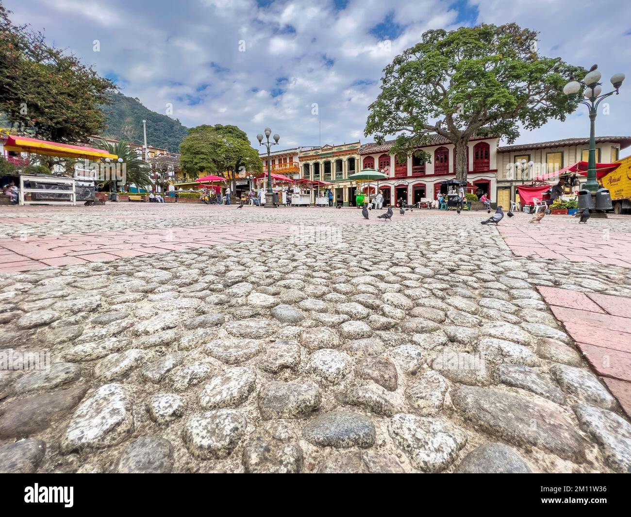South America, Colombia, Departamento de Antioquia, Colombian Andes ...