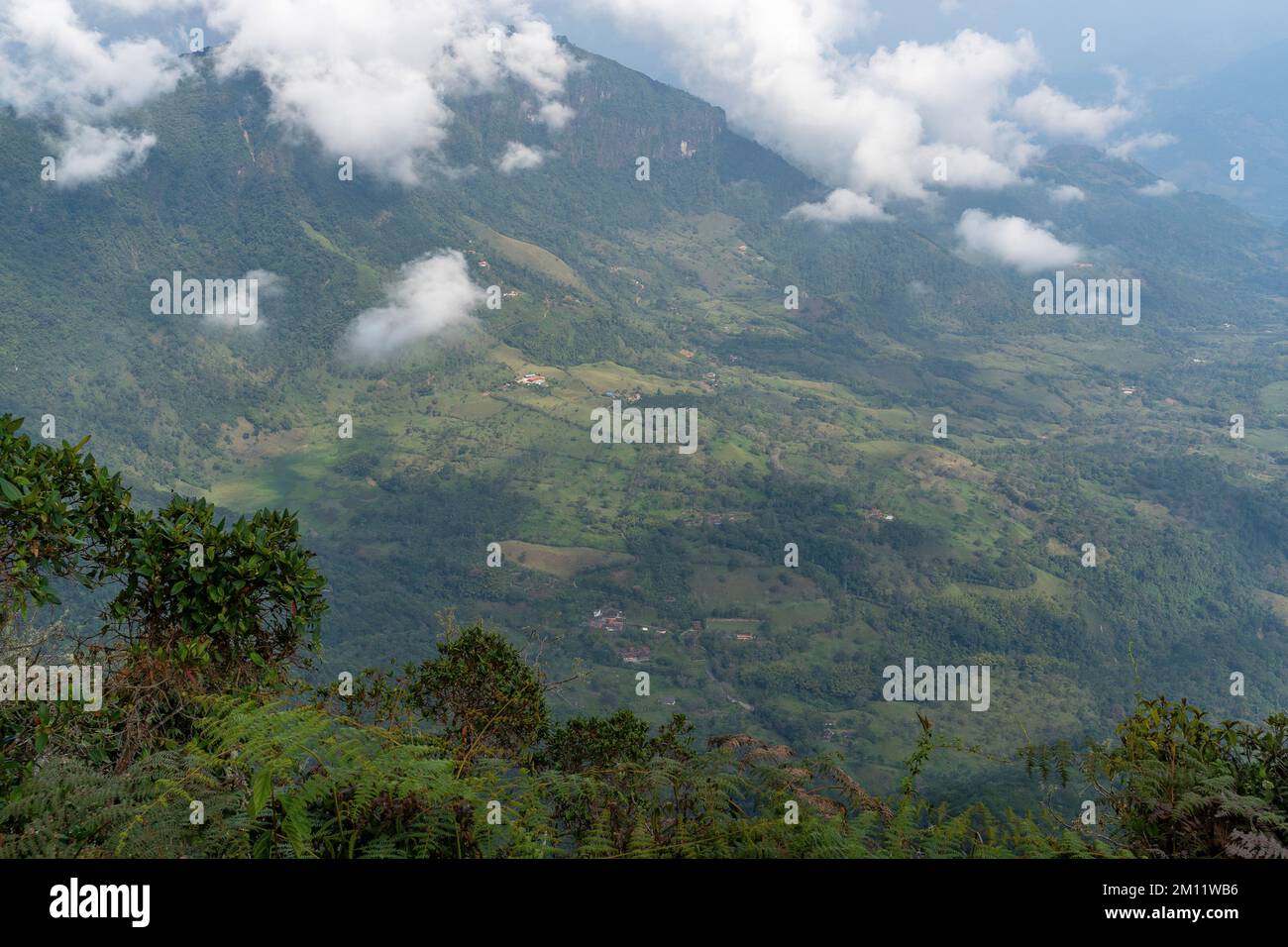 South America, Colombia, Departamento de Antioquia, Colombian Andes ...