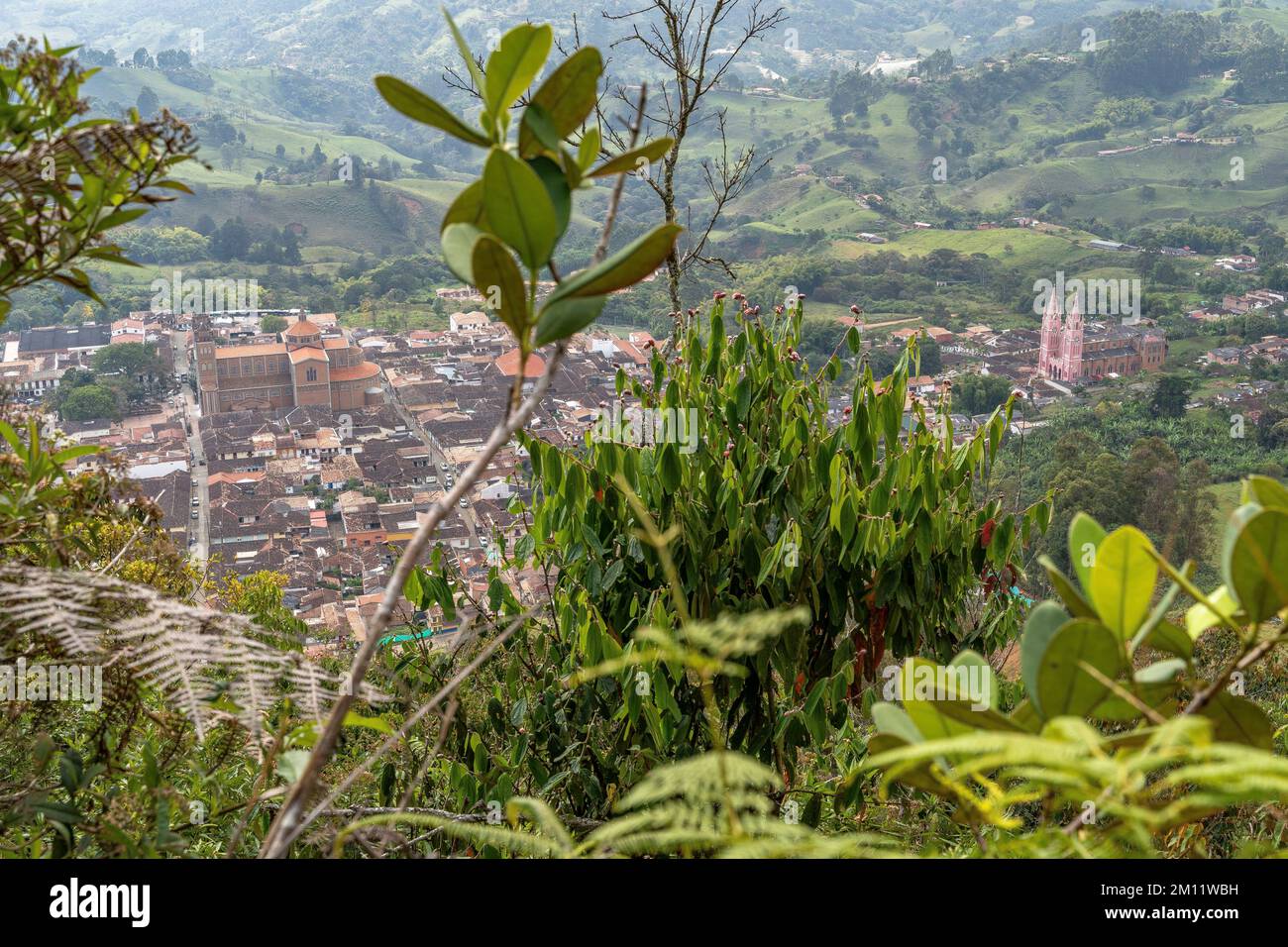 South America, Colombia, Departamento de Antioquia, Colombian Andes ...