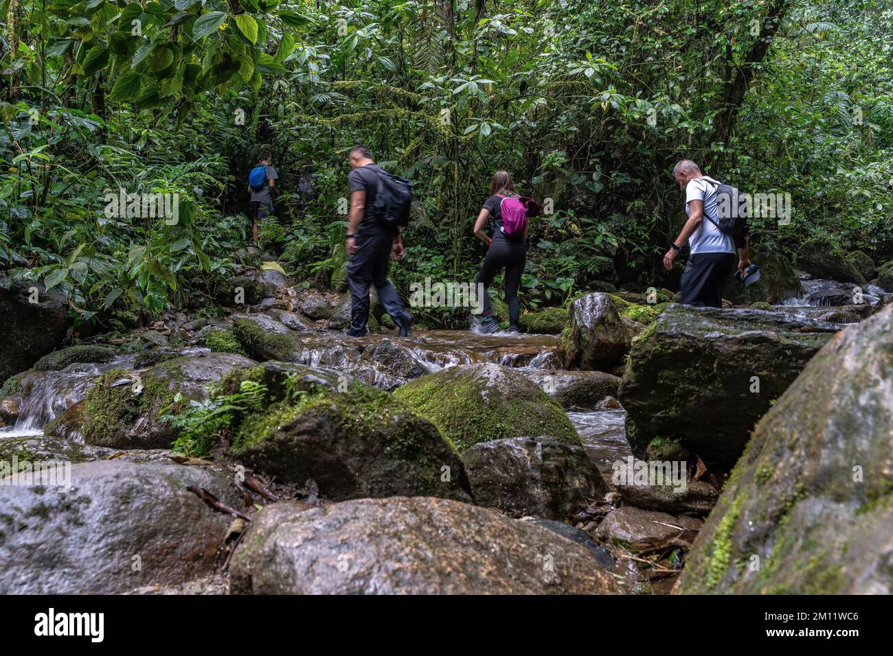 South America, Colombia, Departamento de Antioquia, Medellín, Envigado ...