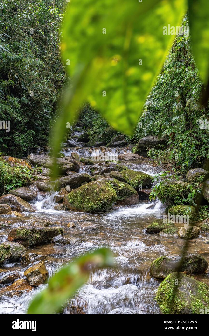 South America, Colombia, Departamento de Antioquia, Medellín, Envigado ...