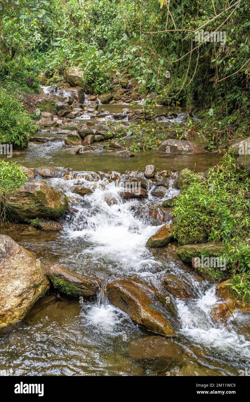 South America, Colombia, Departamento de Antioquia, Medellín, Envigado ...