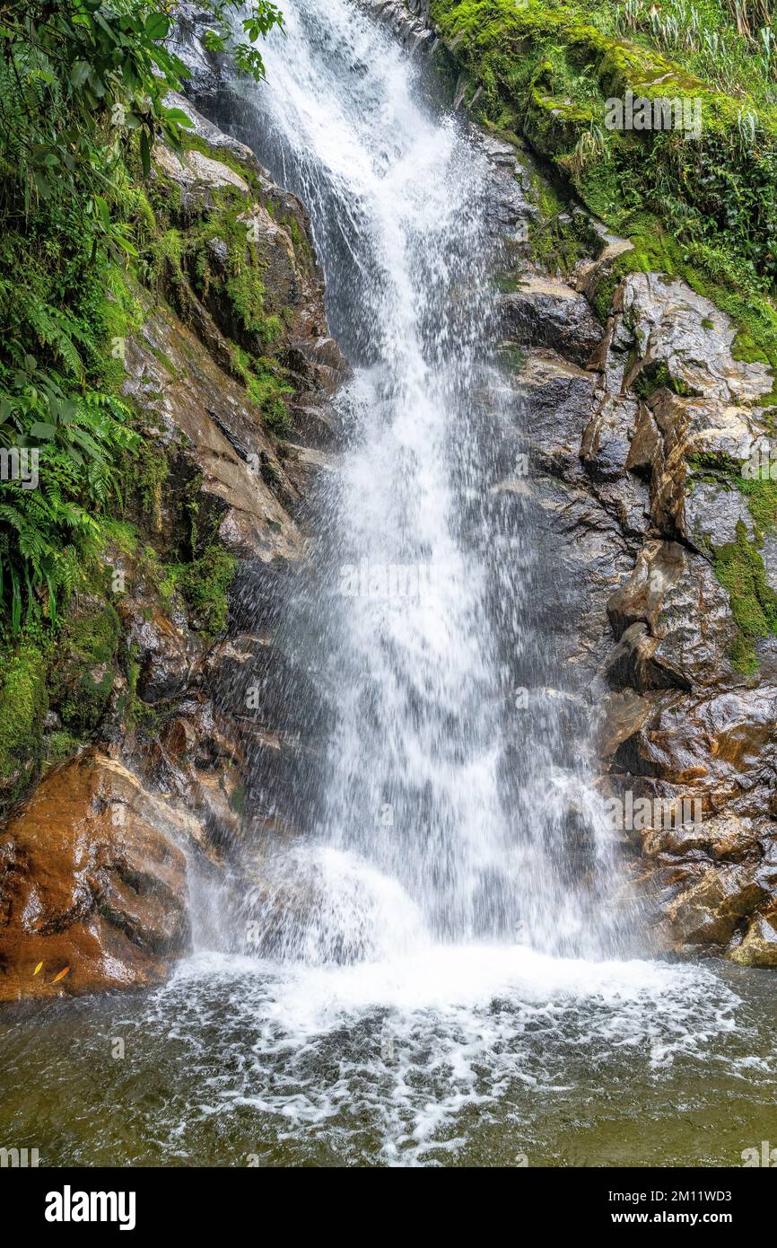 South America, Colombia, Departamento de Antioquia, Medellín, Envigado ...