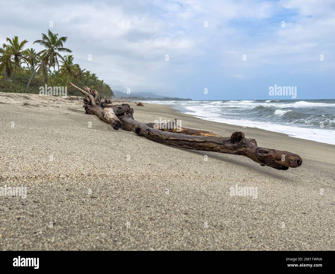 South America, Colombia, Departamento del Magdalena, Santa Marta ...