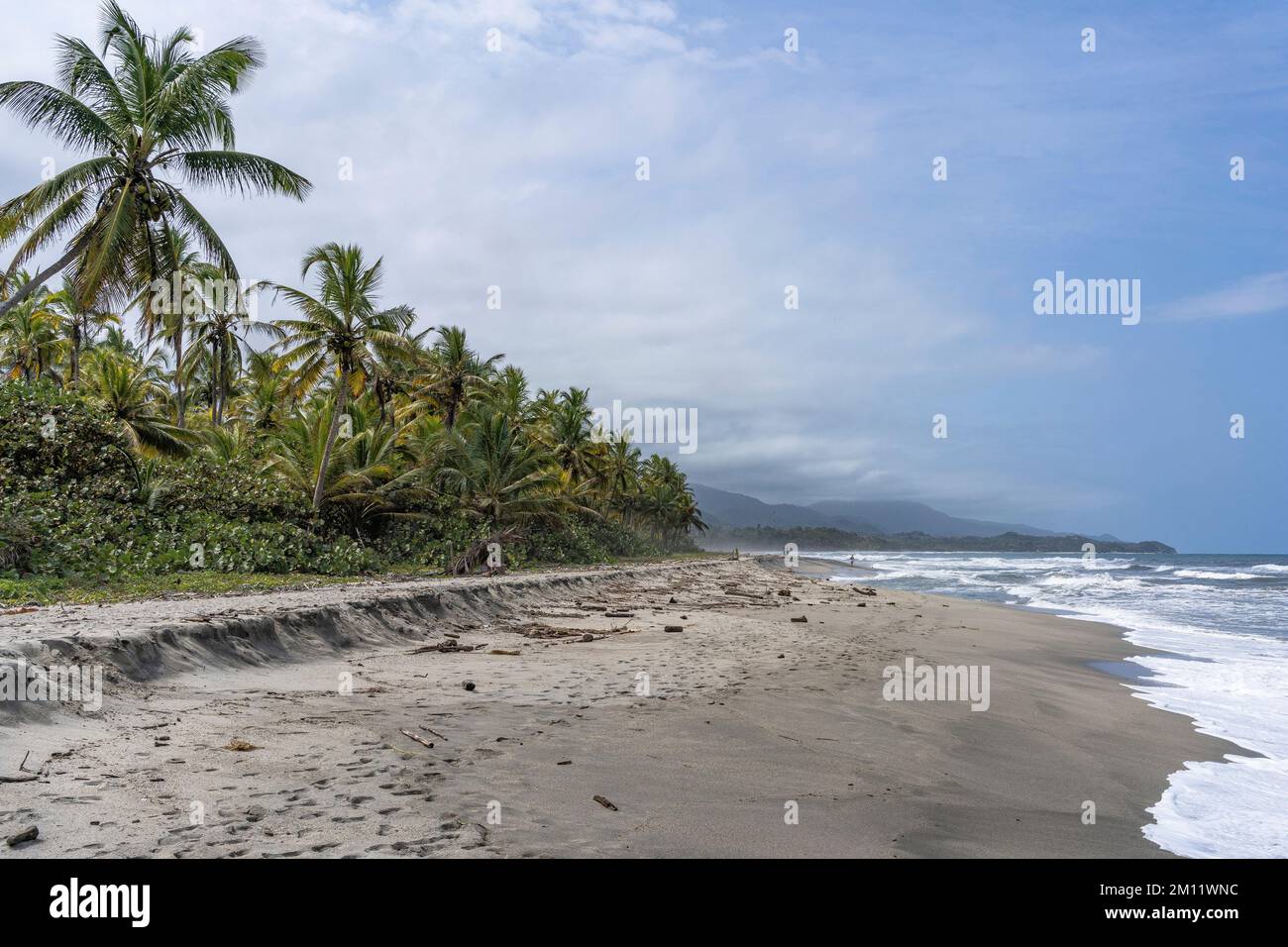 Beach section in front of costao beach hostel hi-res stock photography ...