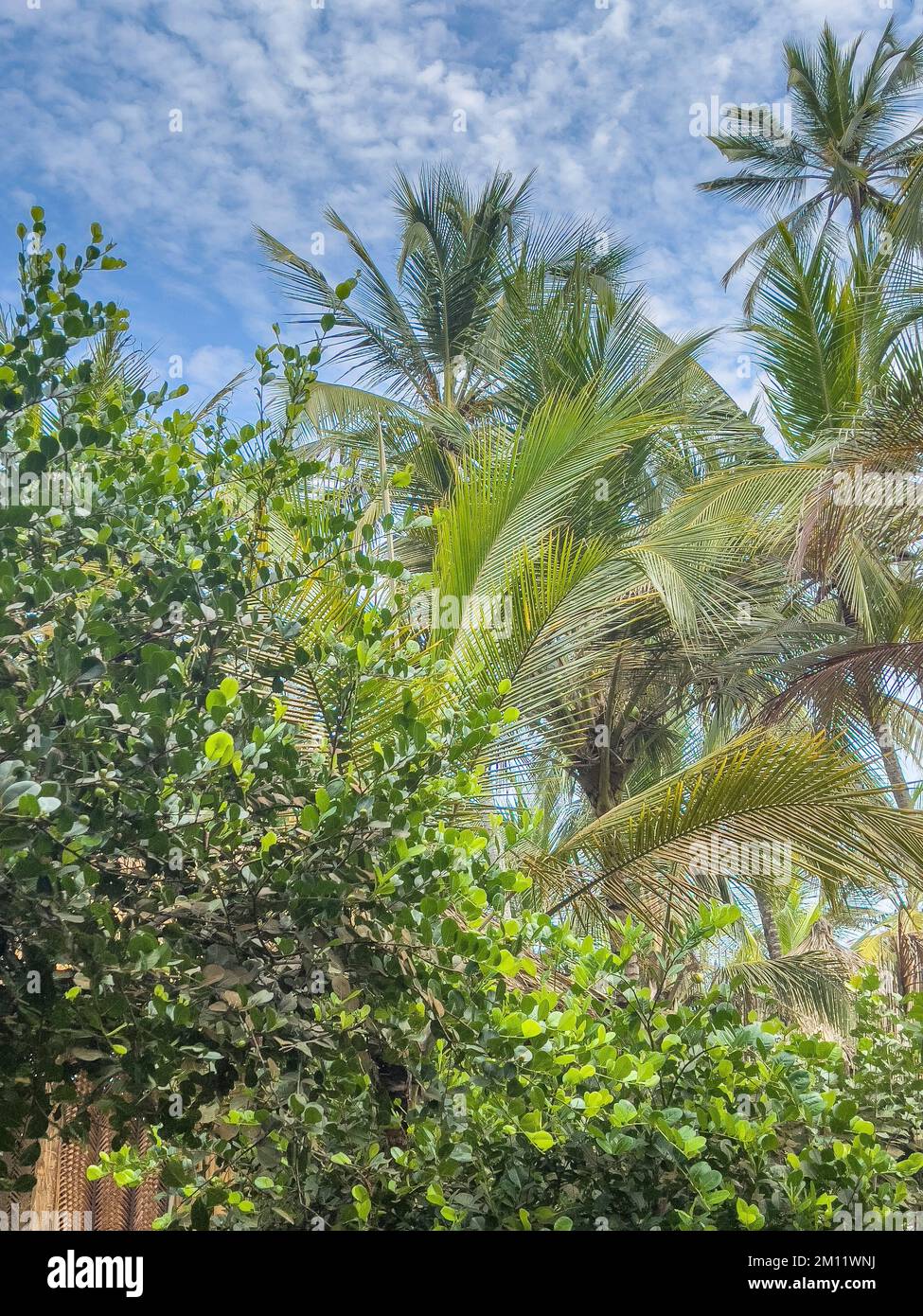 South America, Colombia, Departamento del Magdalena, Santa Marta ...