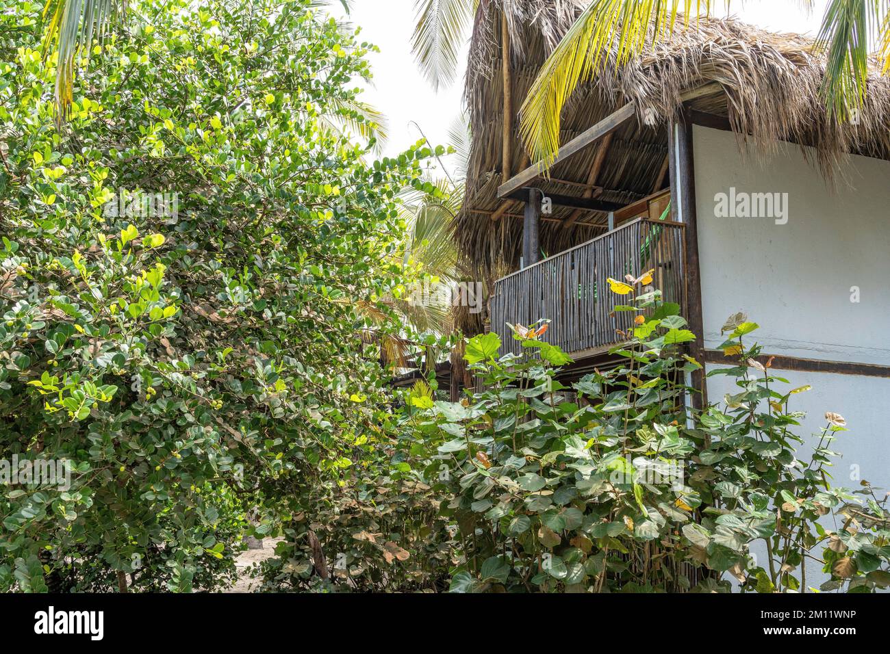 South America, Colombia, Departamento del Magdalena, Santa Marta ...