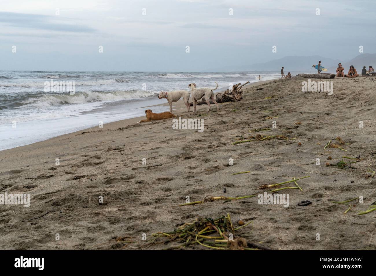 South America, Colombia, Departamento del Magdalena, Santa Marta ...