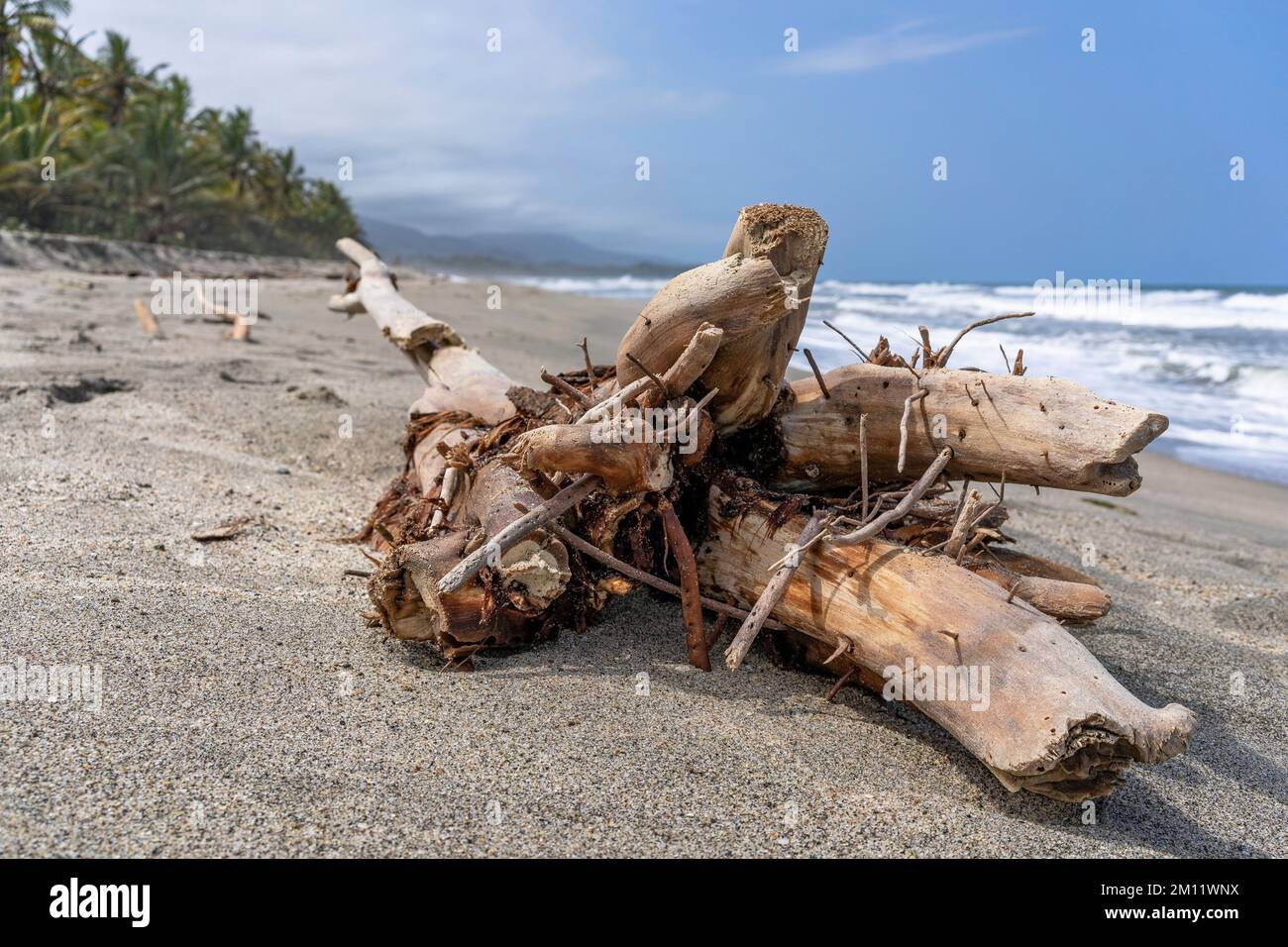 South America, Colombia, Departamento del Magdalena, Santa Marta ...