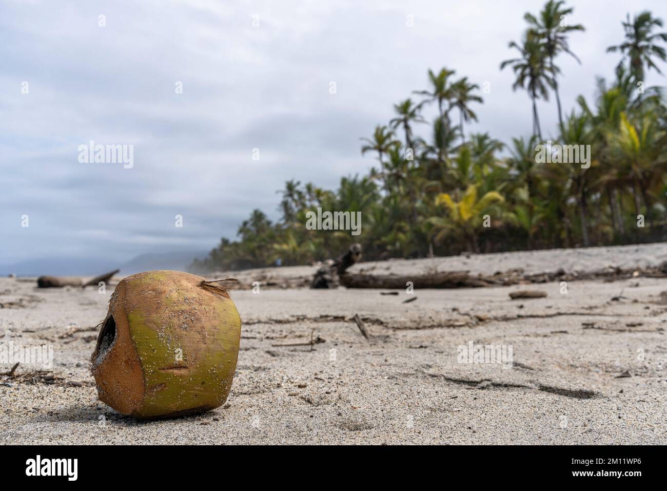 South America, Colombia, Departamento del Magdalena, Santa Marta ...