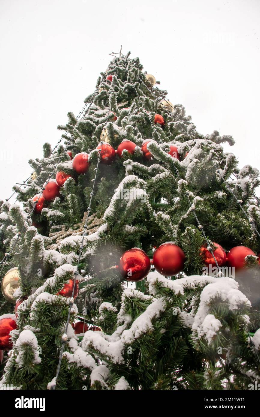 Red balls on a street Christmas tree close up Stock Photo - Alamy