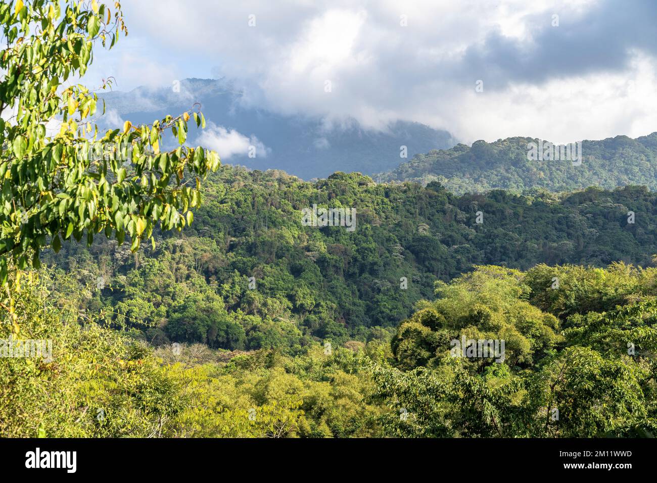 South America, Colombia, Departamento del Magdalena, Santa Marta ...