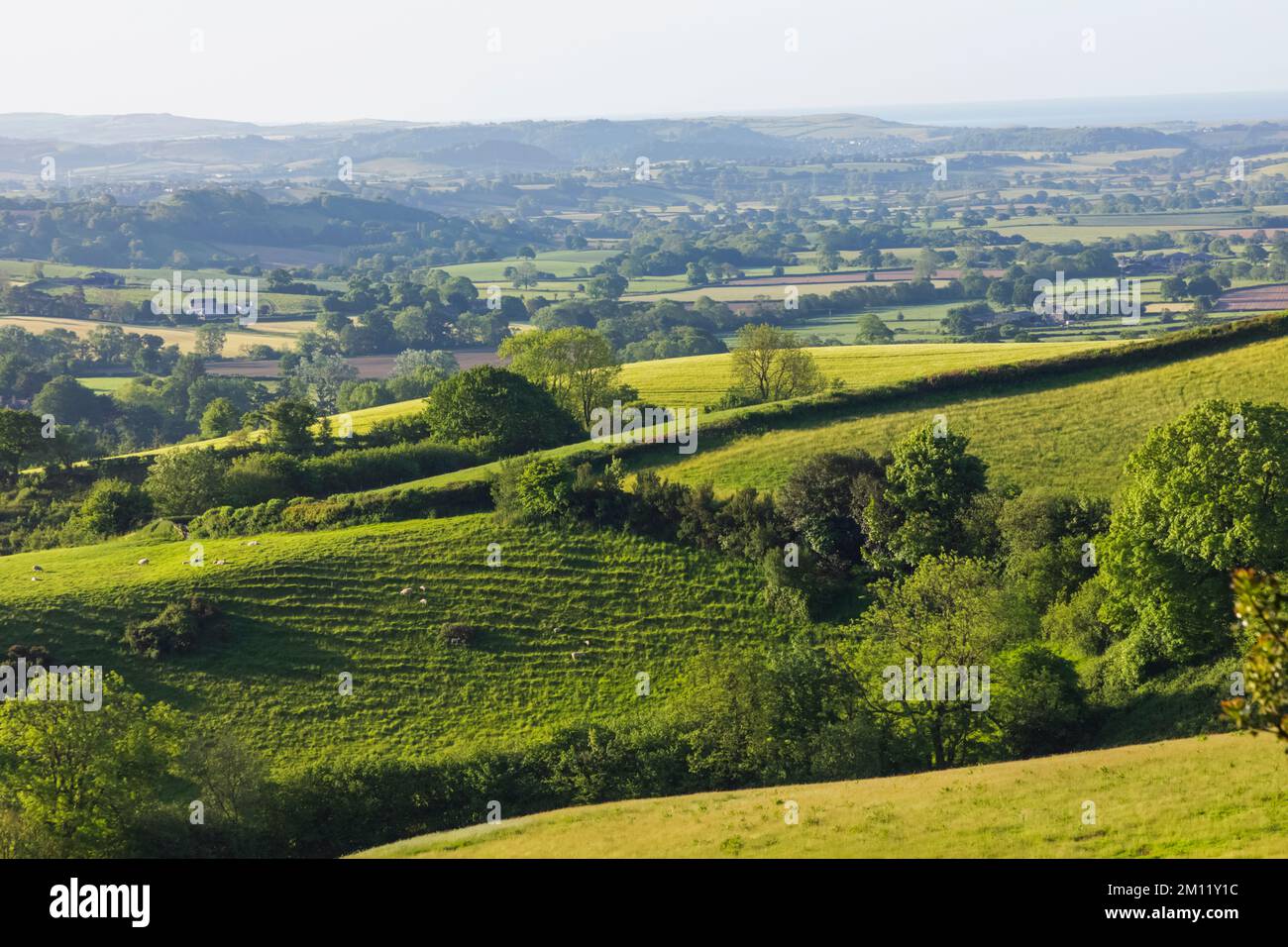 England, Dorset, View of the Dorset Countryside from Pilsdon Pen Stock ...