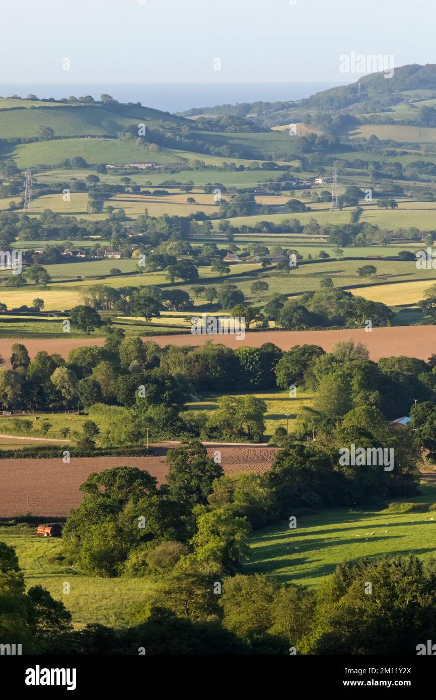 England, Dorset, View of the Dorset Countryside from Pilsdon Pen Stock ...