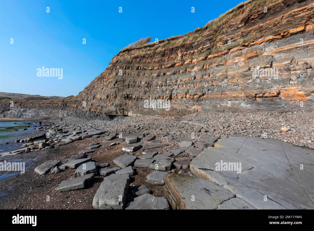 England, Dorset, Isle of Purbeck, Kimmeridge Bay Jurassic Coast World ...