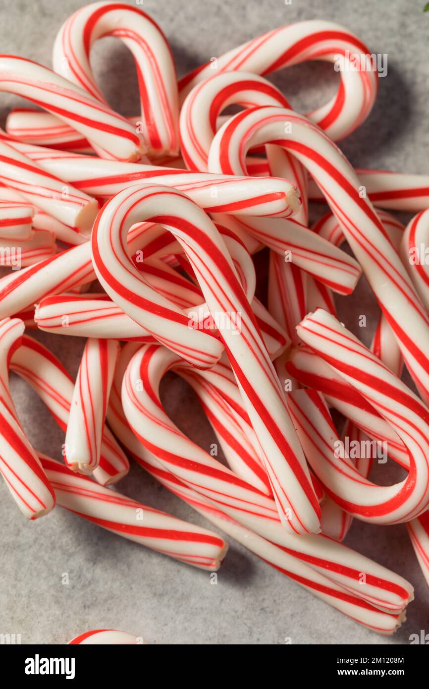 Red and White Peppermint Mini Candycanes for Christmas Stock Photo - Alamy