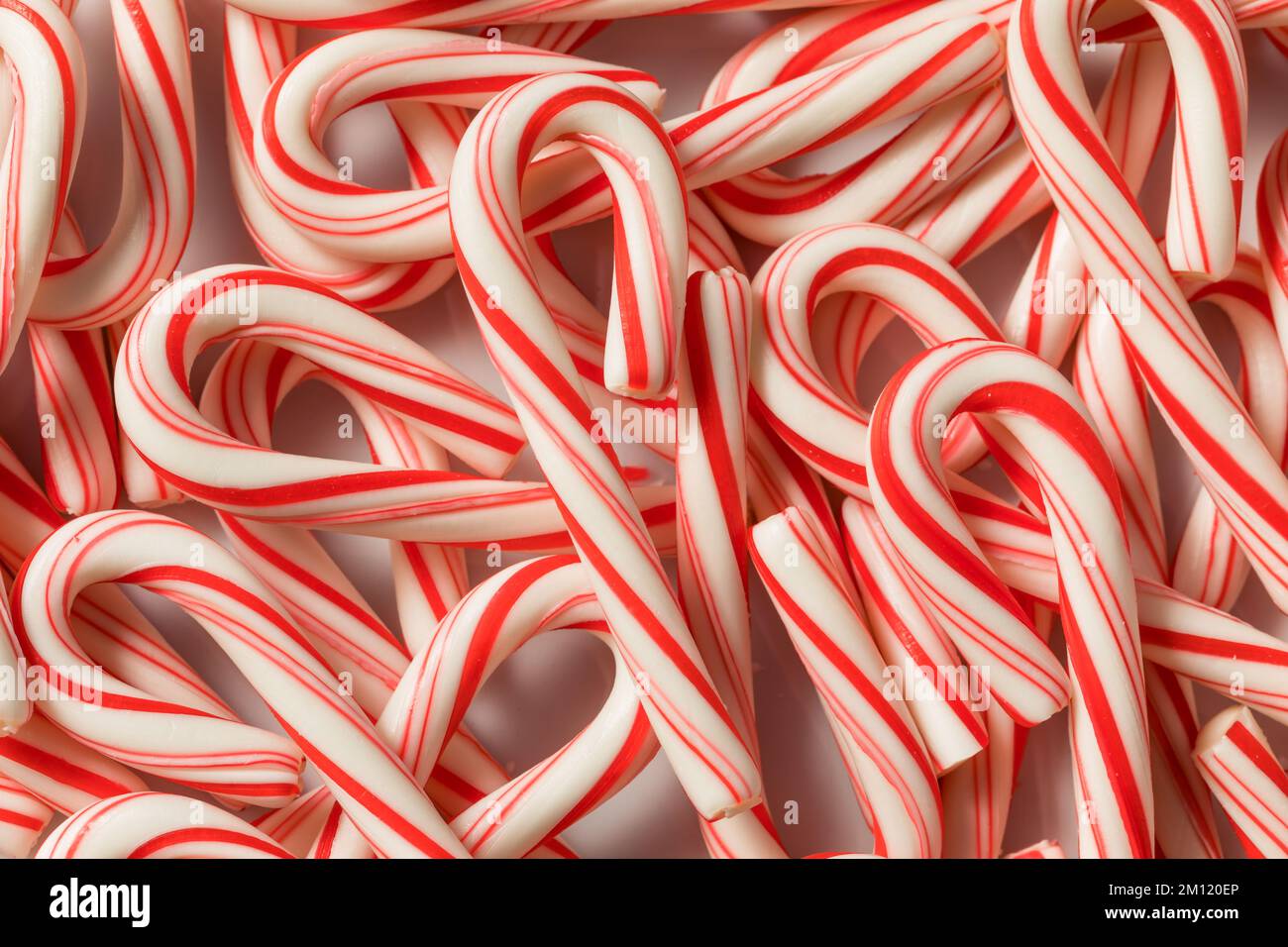 Red and White Peppermint Mini Candycanes for Christmas Stock Photo - Alamy