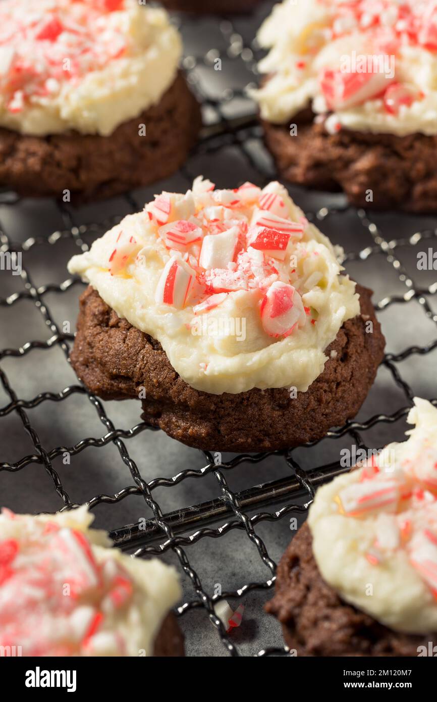 Homemade Peppermint Candycane Chocolate Cookies for Christmas Stock ...