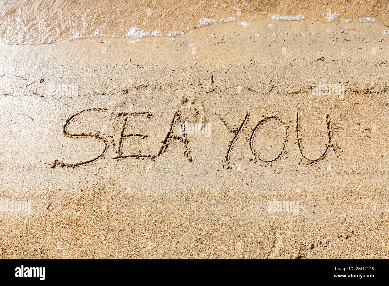 Waves ocean sea beach hi-res stock photography and images - Alamy