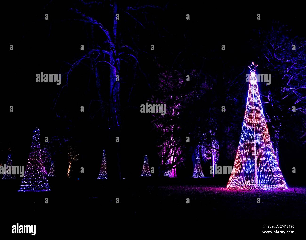 Illuminated cone shape Christmas trees on the Blenheim Christmas and ...