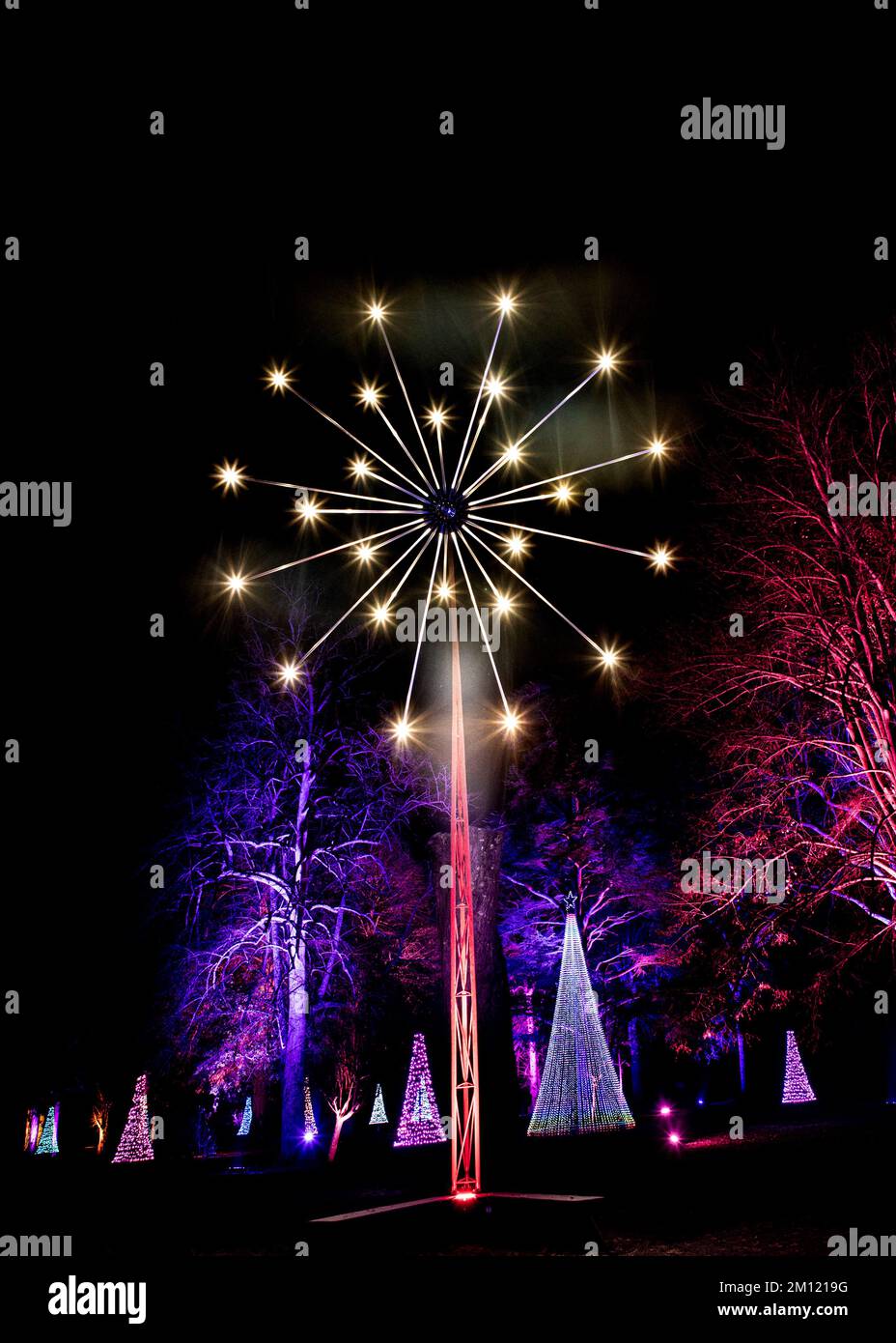 Illuminated firework light installation at Blenheim Christmas and ...