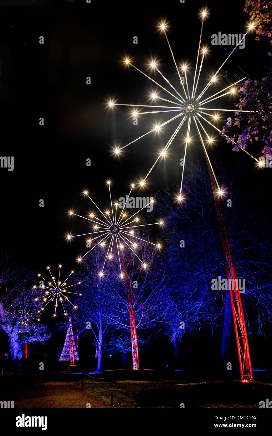 Illuminated firework light installation at Blenheim Christmas and ...