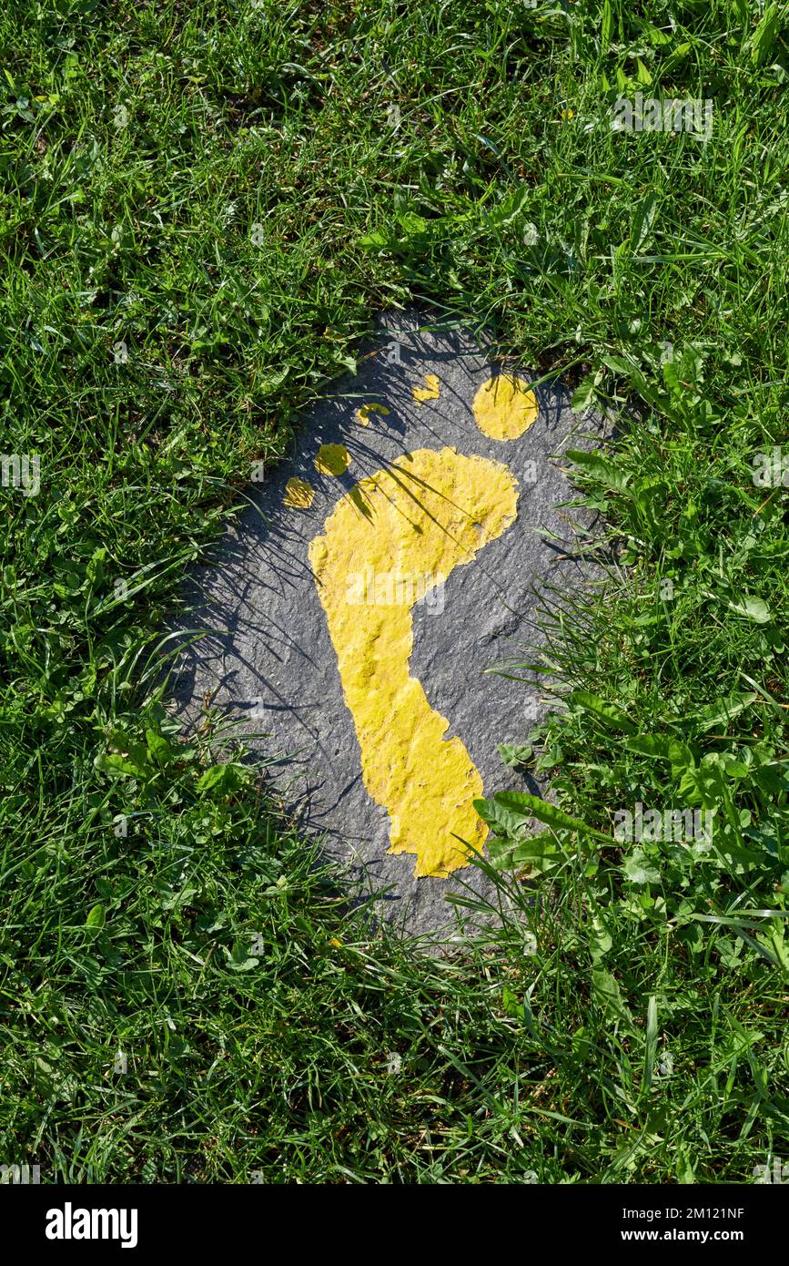 Barefoot walking - stone slab embedded in the meadow with yellow ...