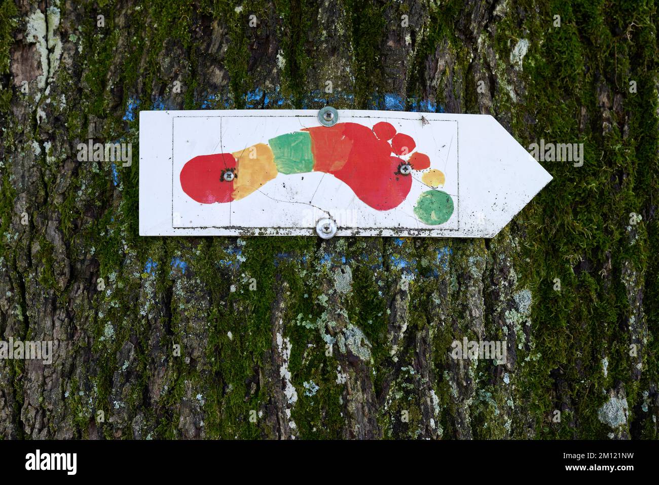 Barefoot walking - waymarking in the form of a footprint with stylized ...