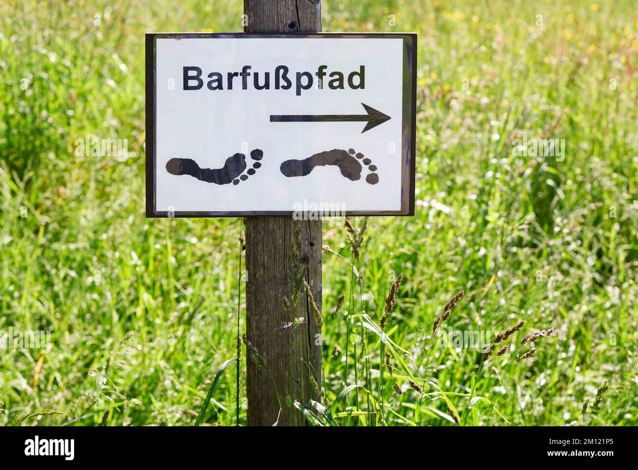 Barefoot walking - path marking in the form of a black footprint on a ...