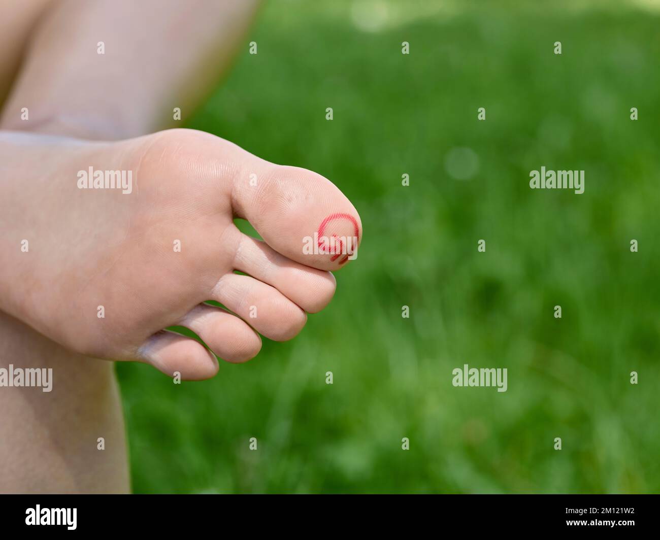 Barefoot walking - close-up of women's feet with zone marked on big toe ...