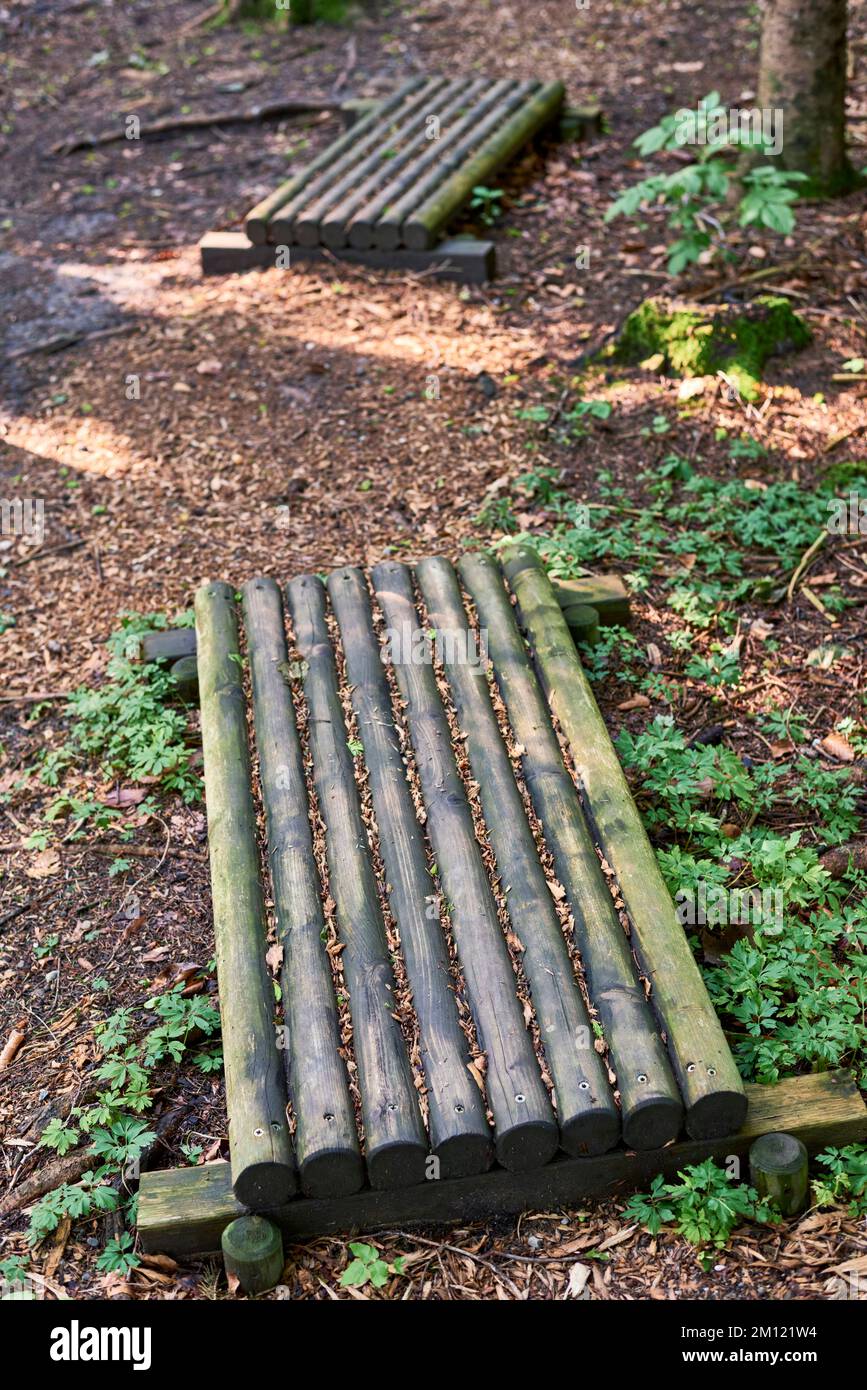 Barefoot walking - two log areas to touch, on the barefoot path in the ...