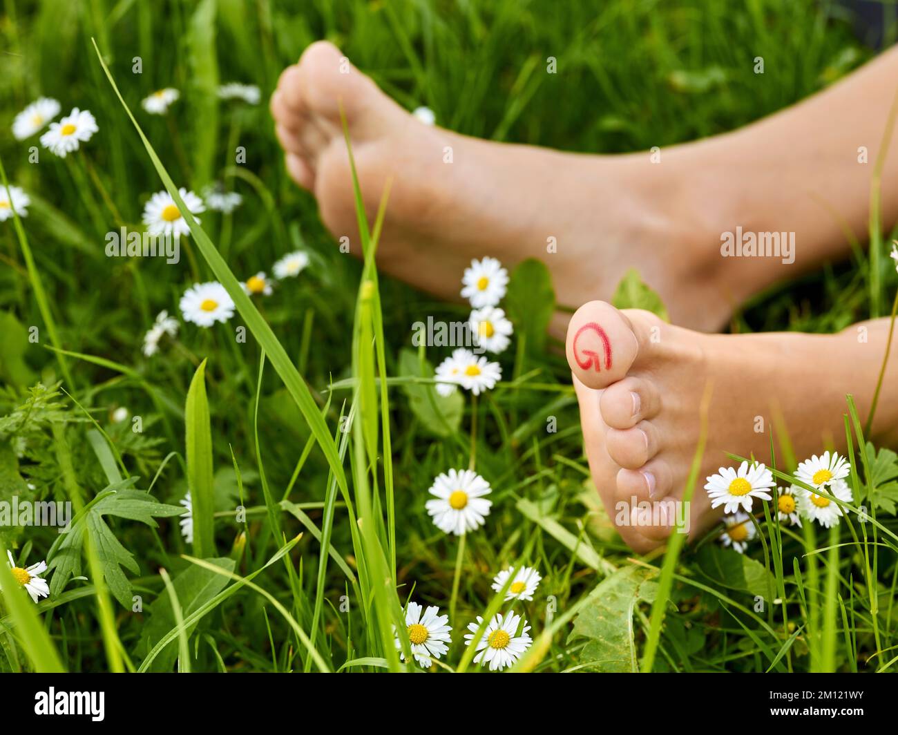 Barefoot walking - close-up of women's feet with zone marked on big toe ...