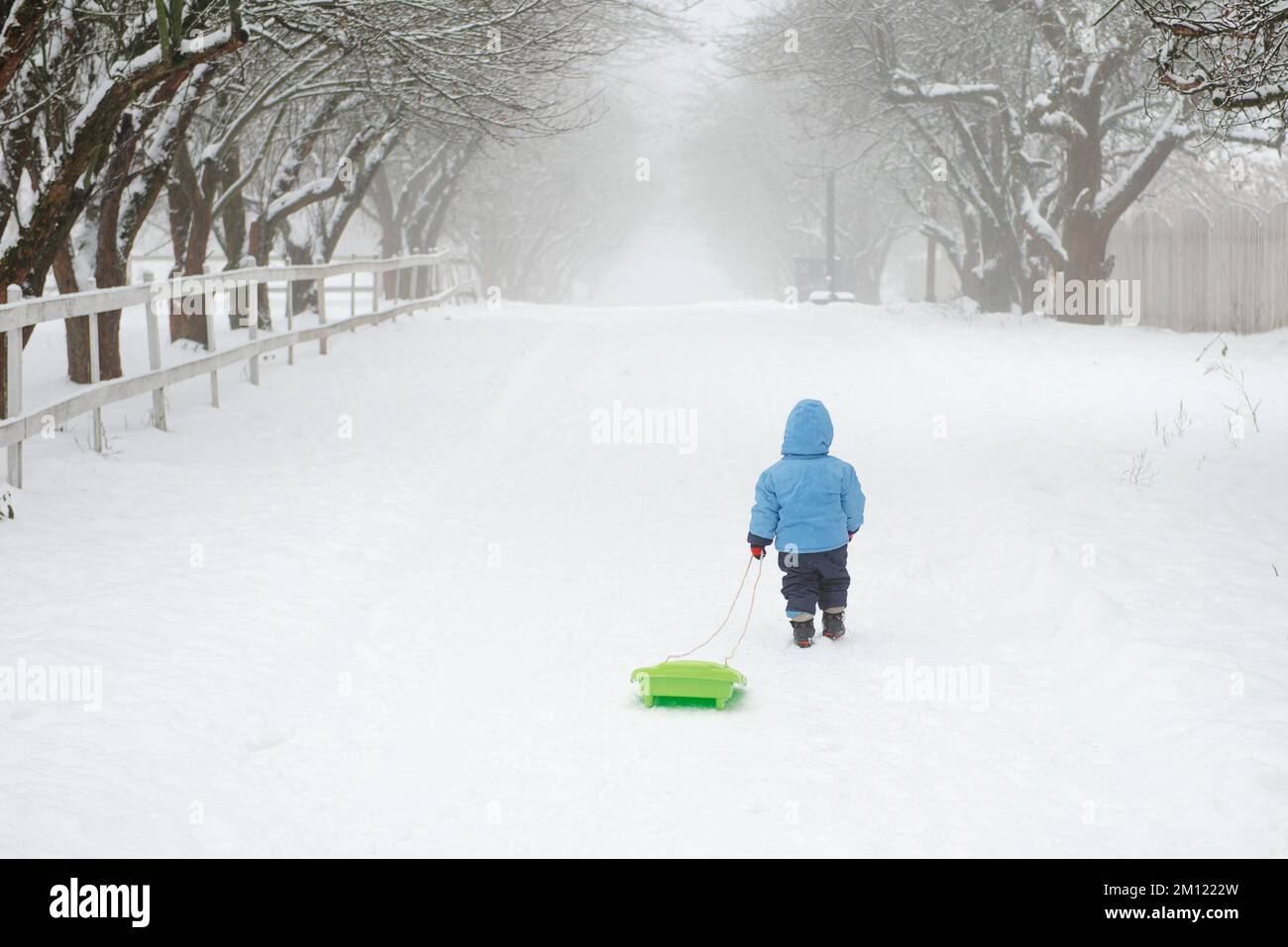 Boy pines hi-res stock photography and images - Alamy