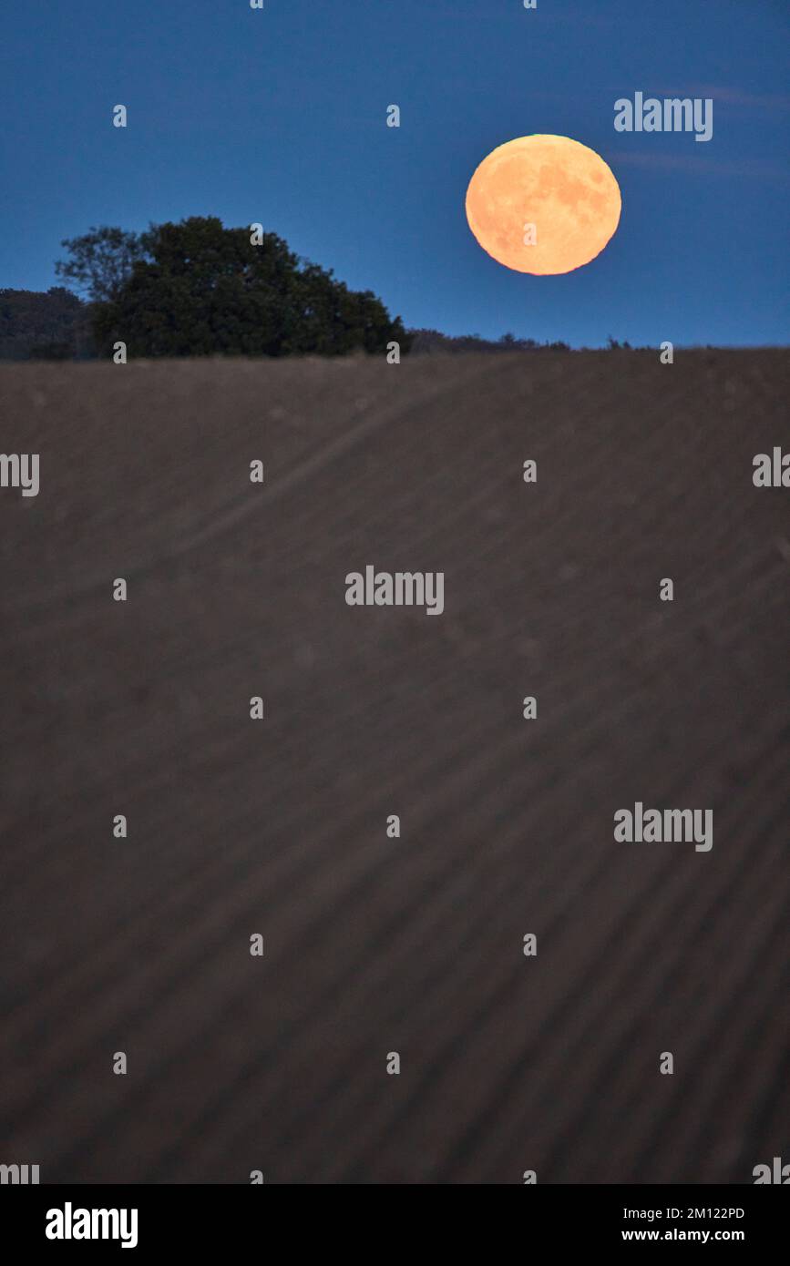 Moon field hi-res stock photography and images - Alamy