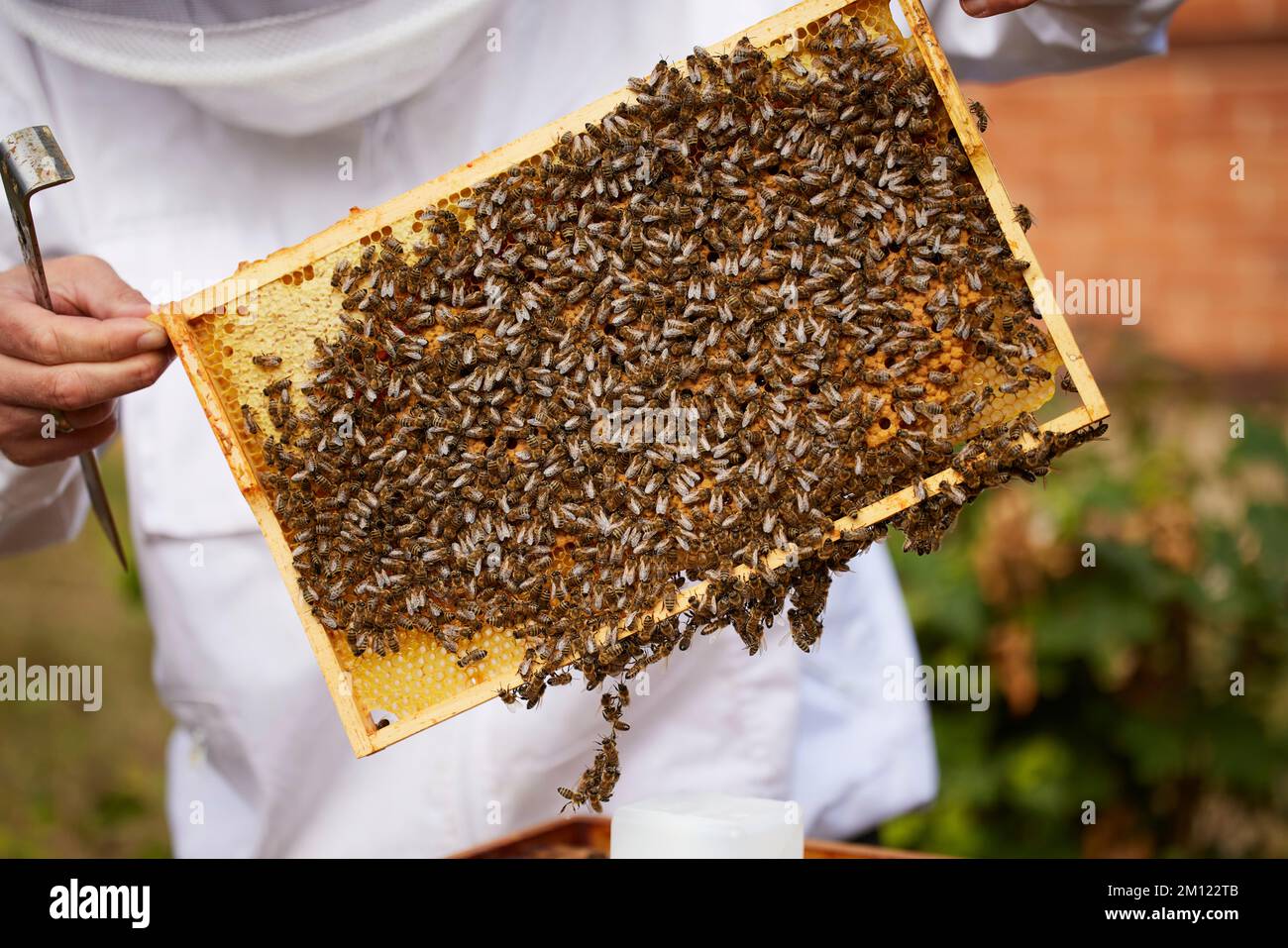 Numbers on bee hives hi-res stock photography and images - Alamy