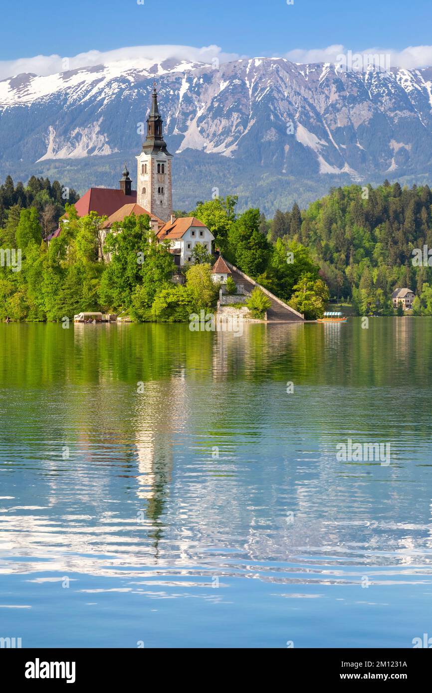 View of lake Bled at in spring with the small island and Assumption of ...