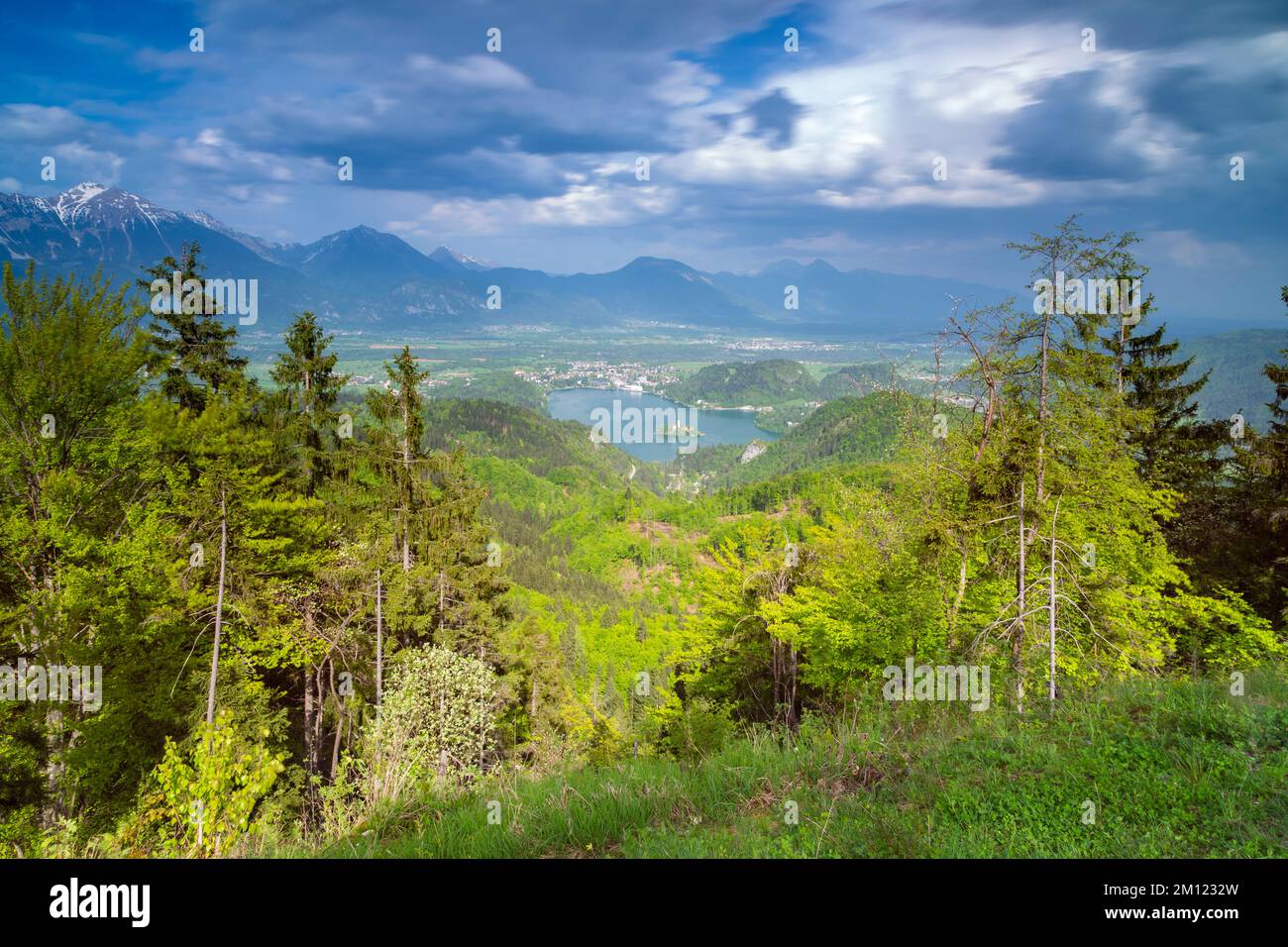 Elevated view of lake bled bled hi-res stock photography and images - Alamy