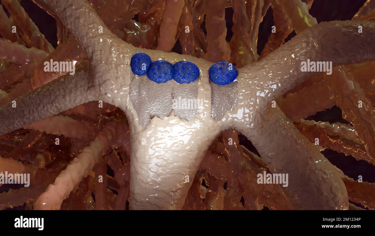 3d illustration of Osteoblaste, medically accurate, Bone modeling and ...
