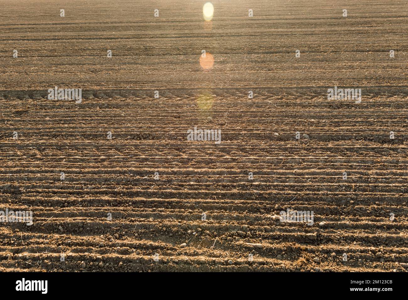 Field landscape near Munich, spring, evening sun Stock Photo - Alamy