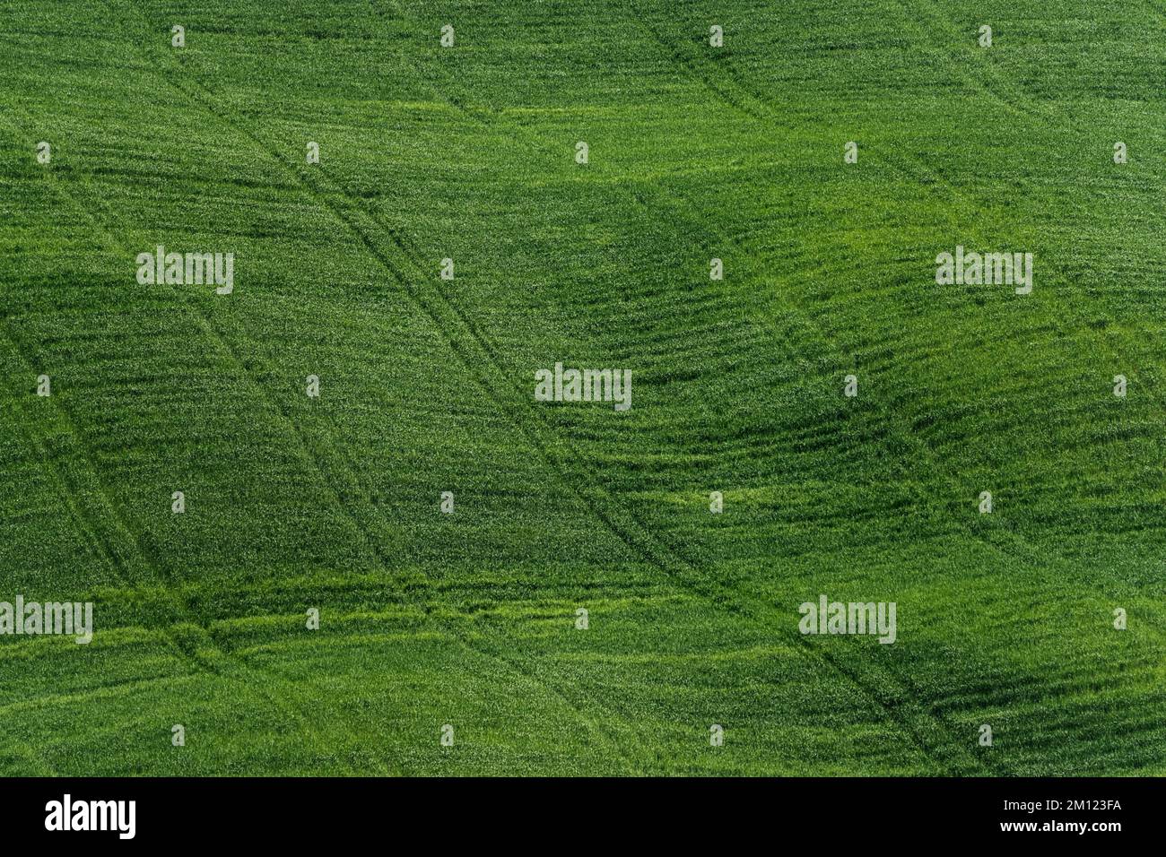 Green fields tuscany hi-res stock photography and images - Alamy