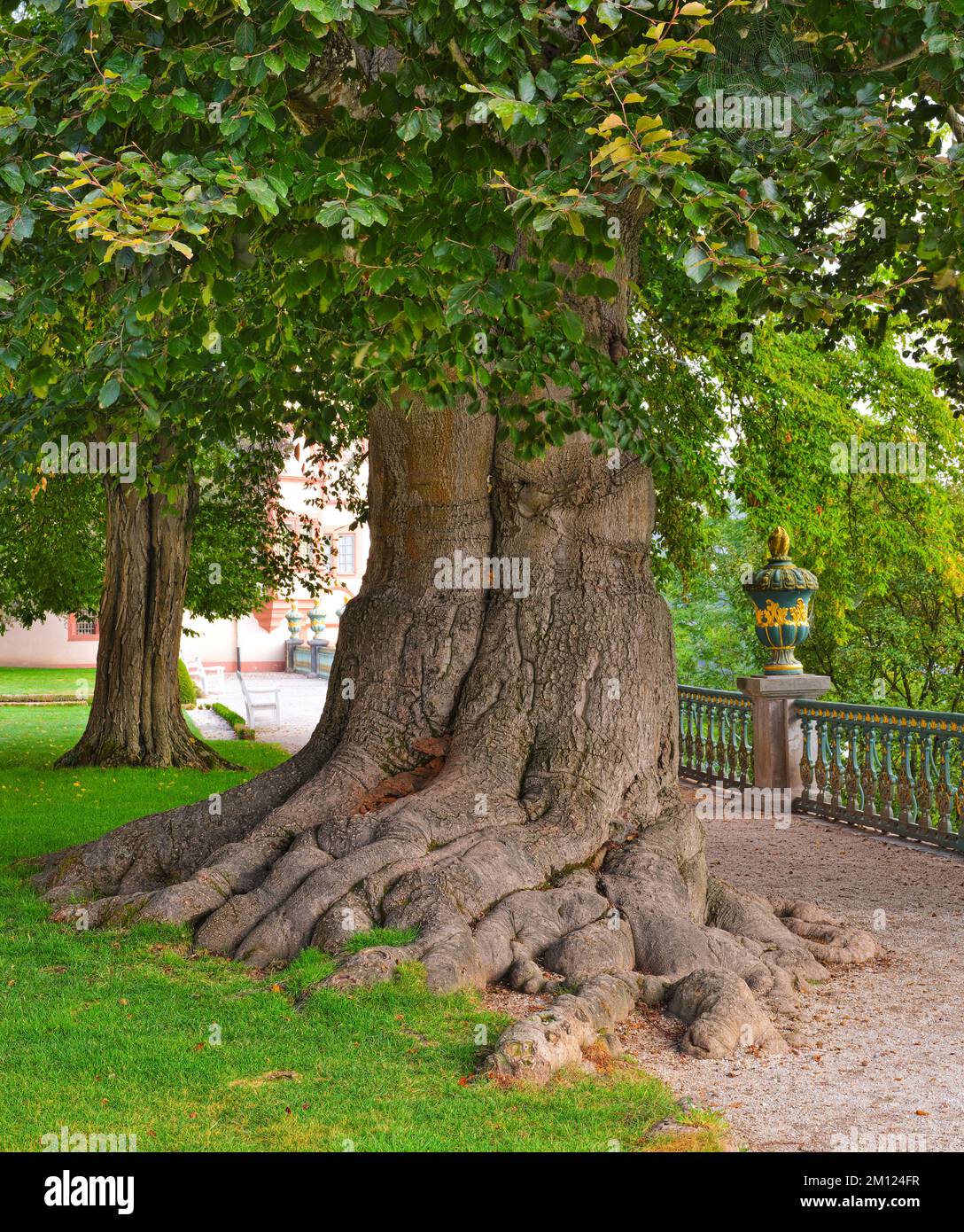 Europe, Germany, Hesse, County Limburg-Weilburg, City Weilburg, Lahntal ...