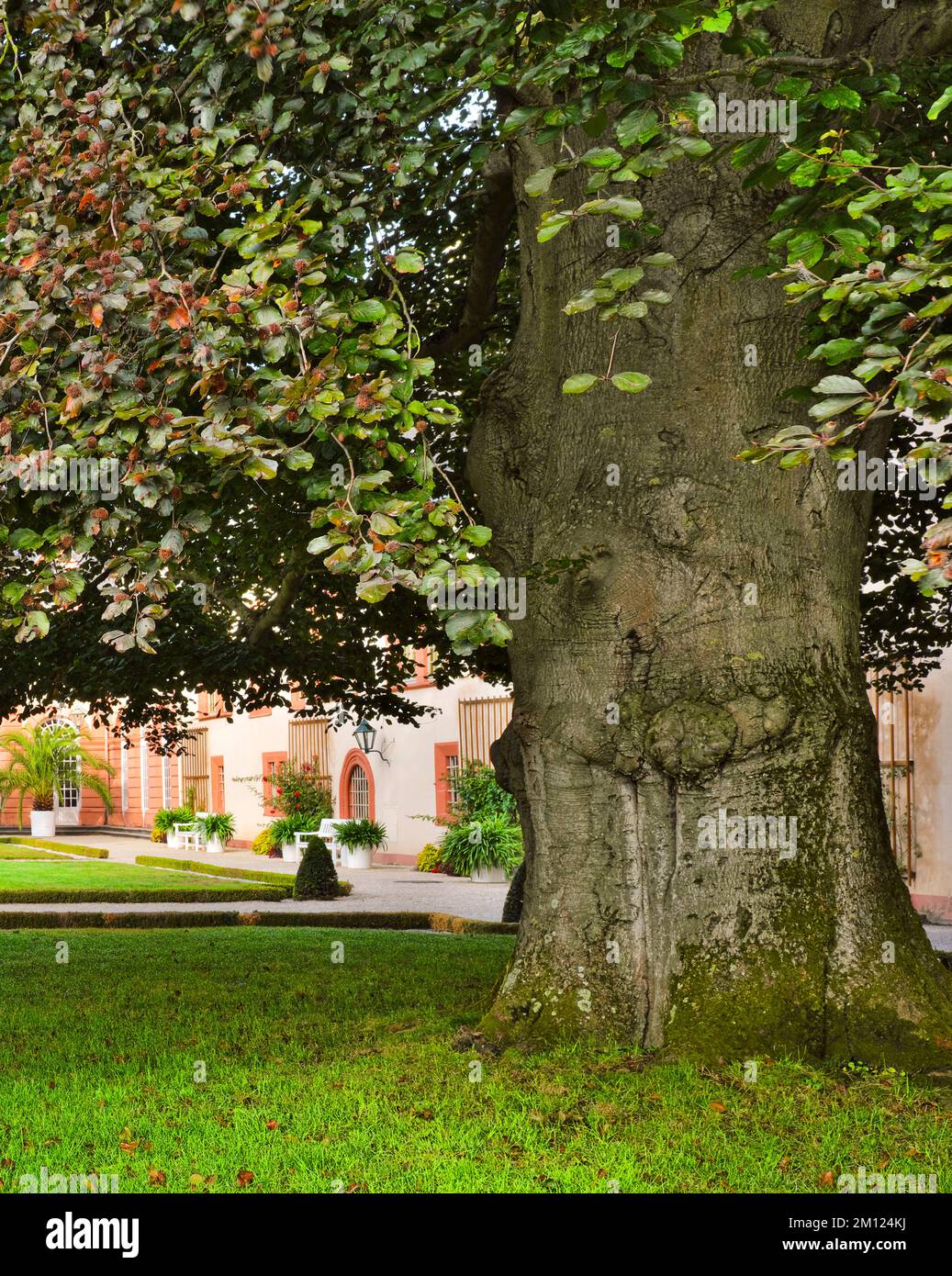 Europe, Germany, Hesse, County Limburg-Weilburg, City Weilburg, Lahntal ...