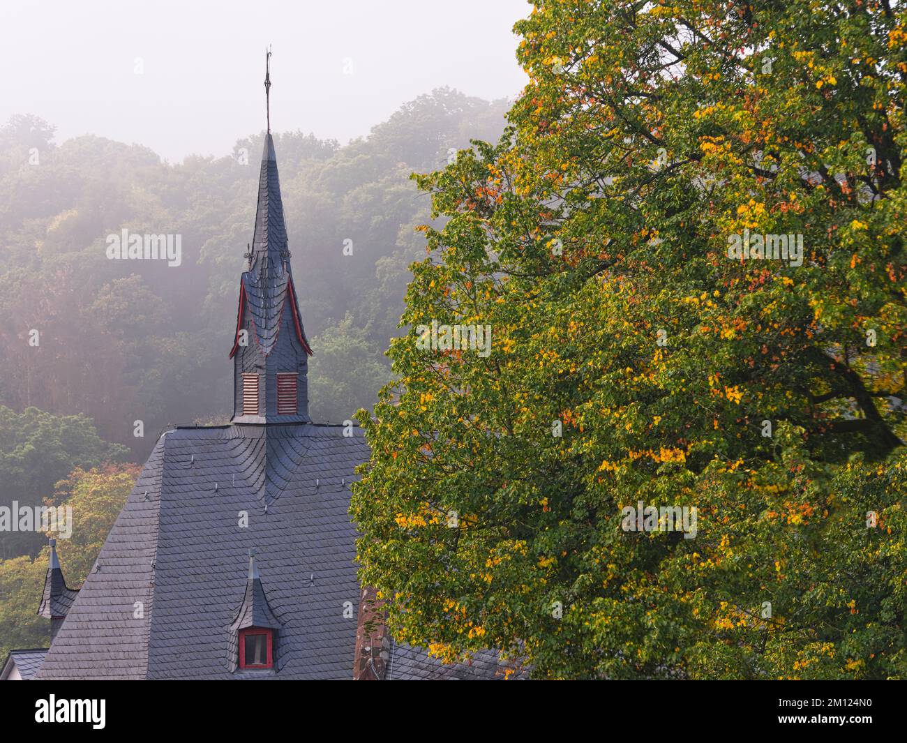 Europe, Germany, Hesse, Limburg-Weilburg county, Weilburg town, Lahn ...
