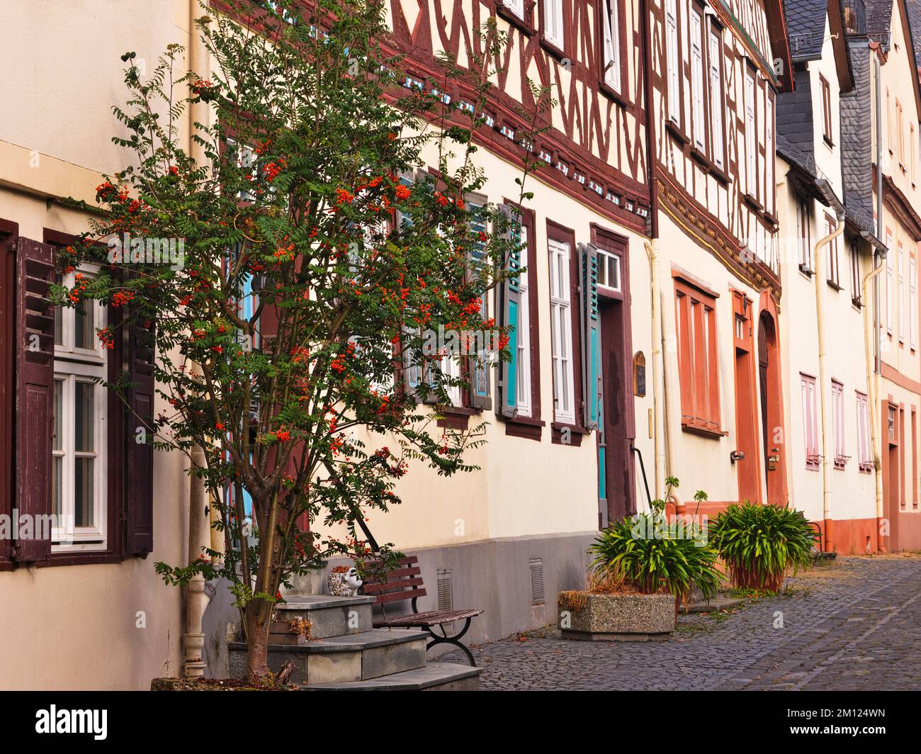 Europe, Germany, Hesse, Limburg-Weilburg county, Weilburg town, Lahn ...