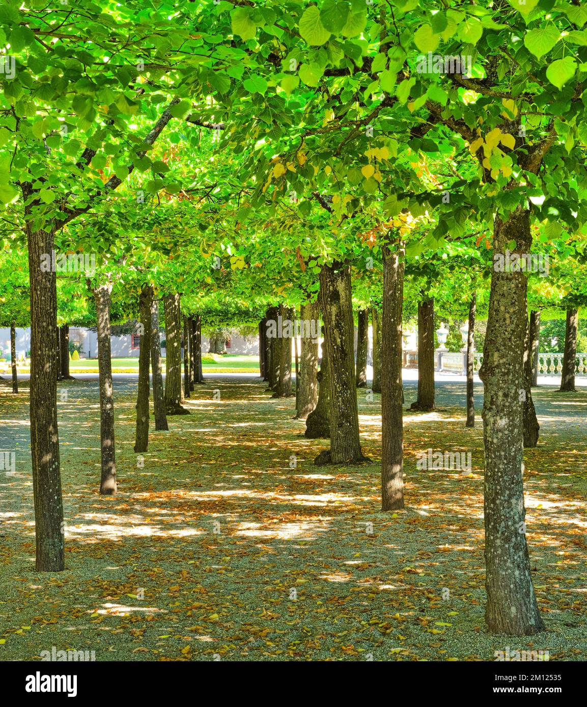 Europe, Germany, Hesse, County Limburg-Weilburg, City Weilburg, Lahntal ...