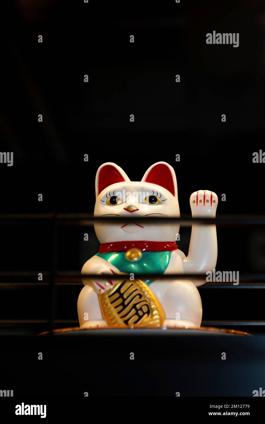Winke cat behind a grid Stock Photo - Alamy